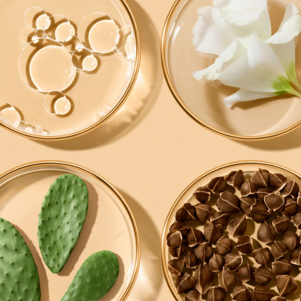 Contorno de Ojos Revitalizing Supreme+ - Blush-Bar │ Maquillaje y ...